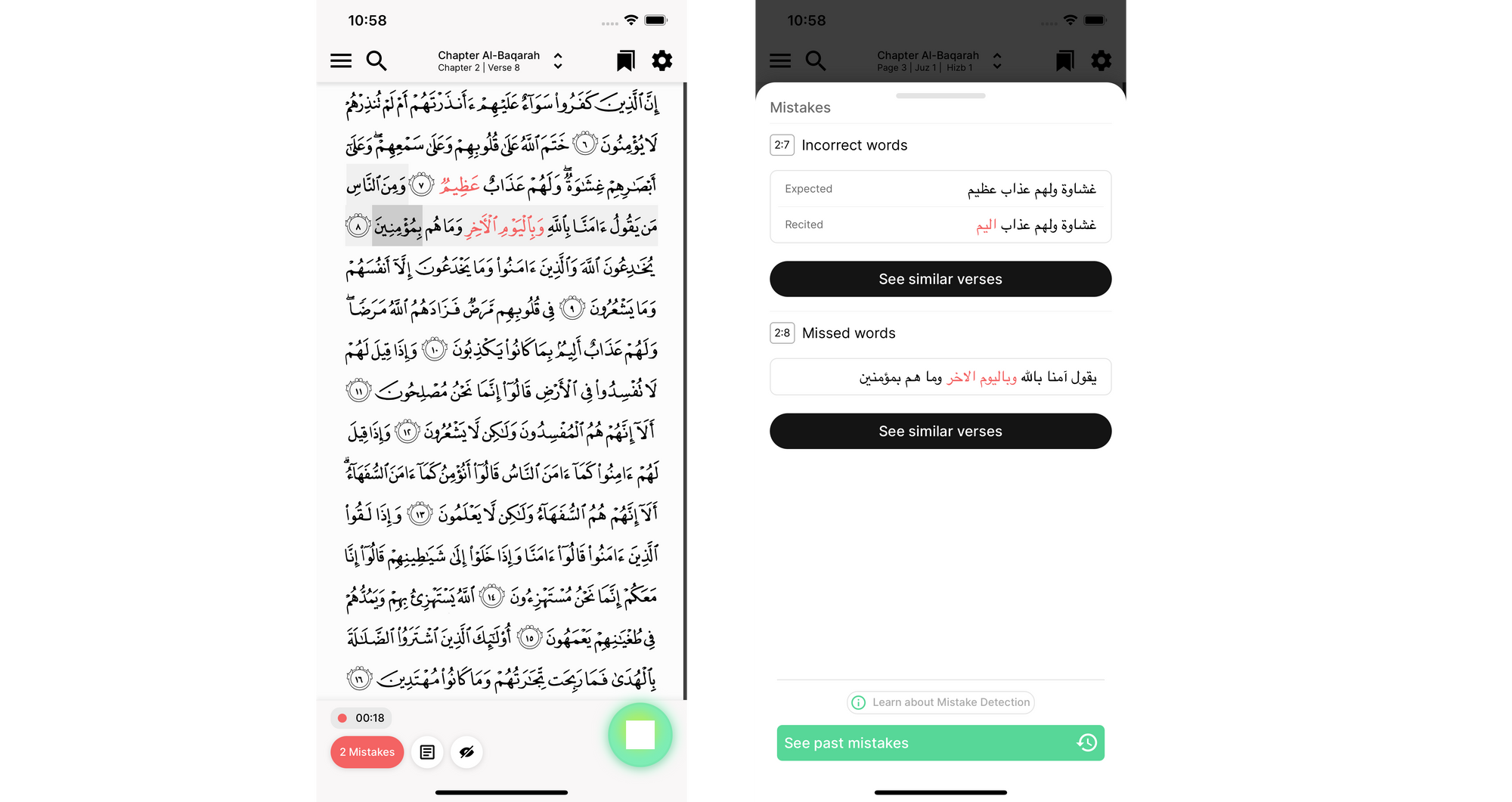Introducing Mistake Detection